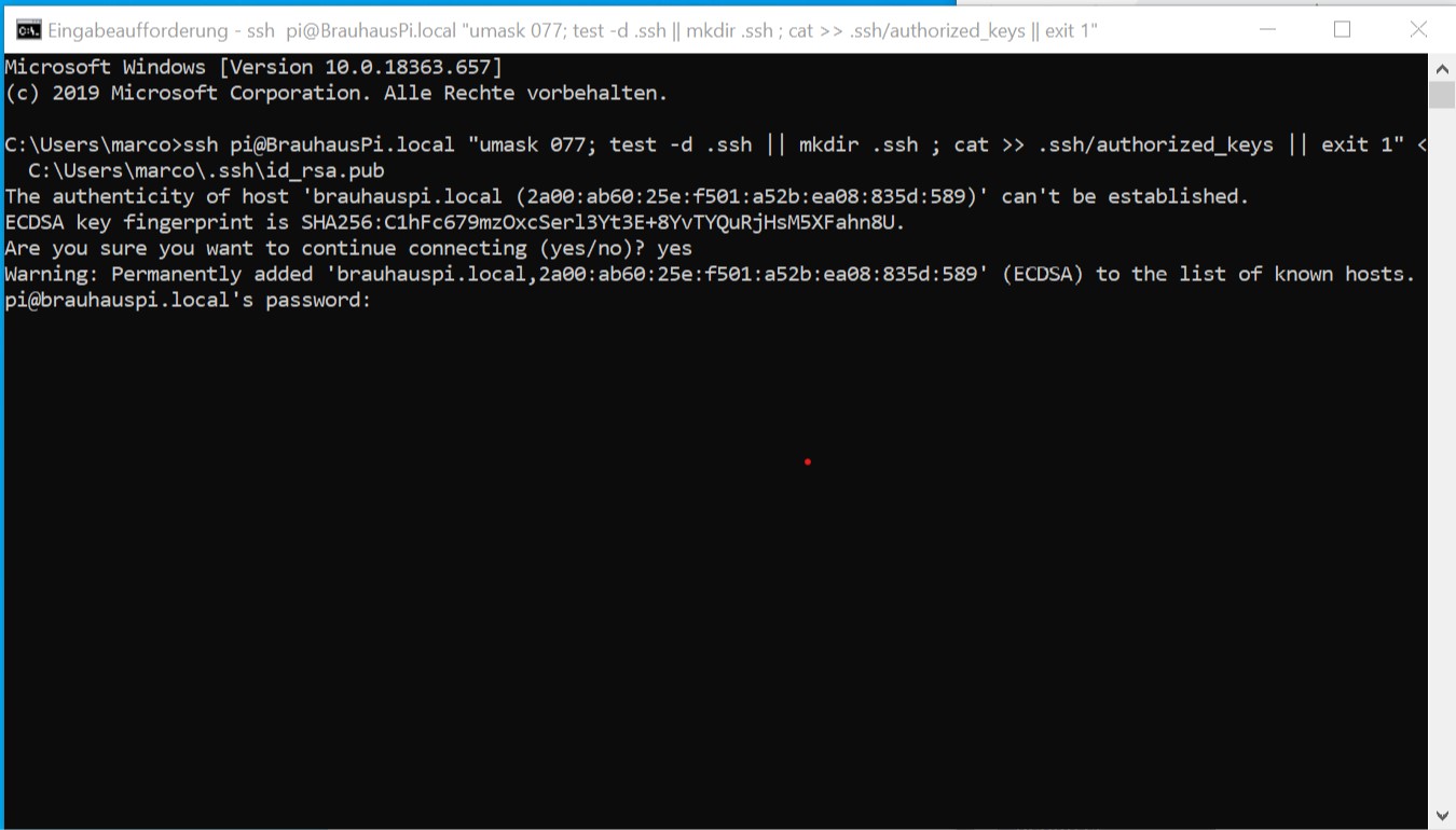 SSH Keys unter Windows – Cobra